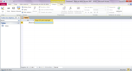 Microsoft Access 2010: Iniciando en Access