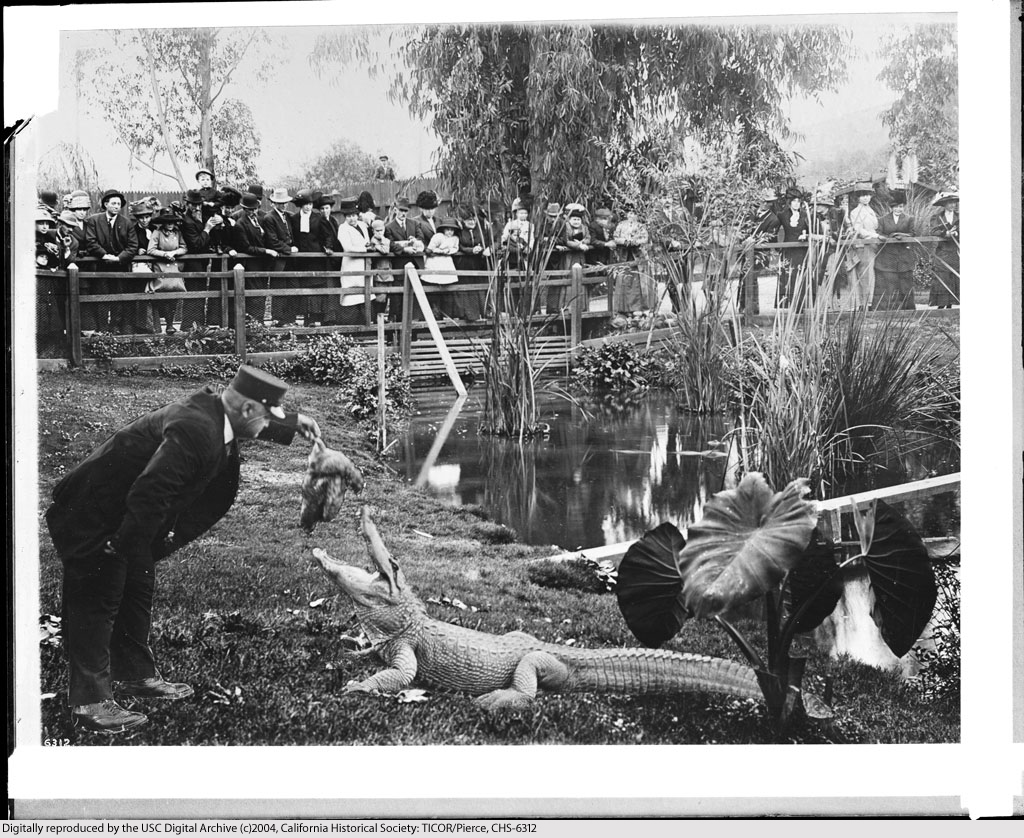 DECAYING HOLLYWOOD MANSIONS: The California Alligator Farm - Los Angeles
