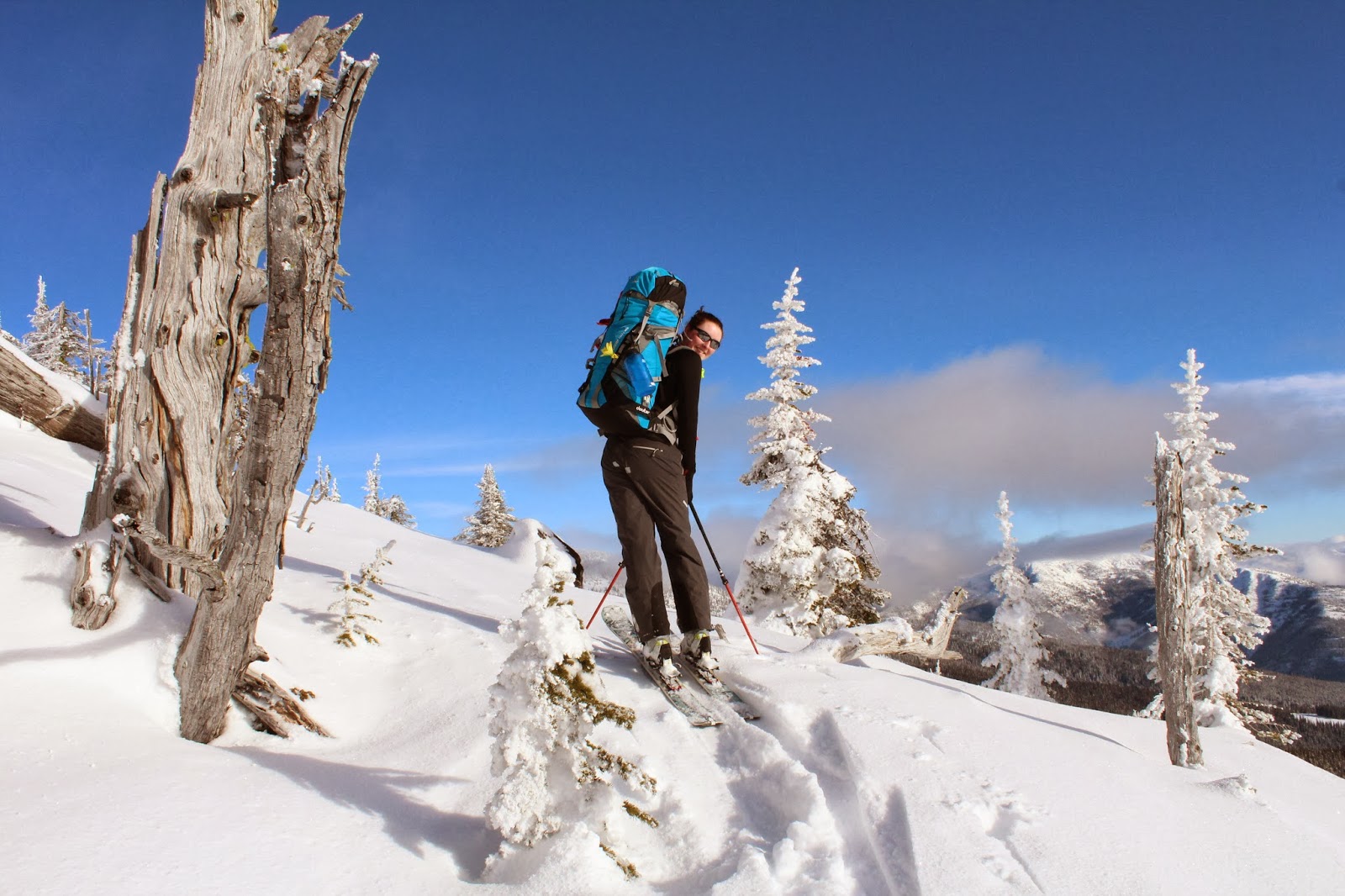 Jenny's Mountain Adventures: Bonnington Half Traverse (Grassy and Steed ...