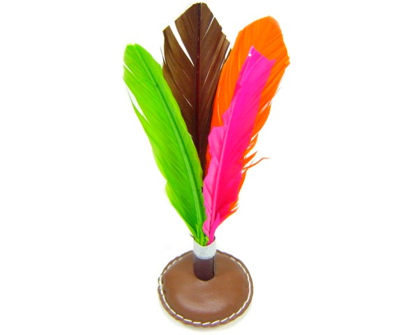 Correio Erechinense: Erechim sediará o maior torneio de peteca do mundo