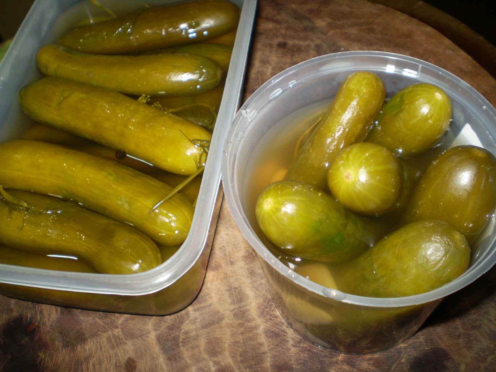 Unveiled Jobless Money Tai Tai's Life: HOW TO MAKE GHERKIN (DWARF ...