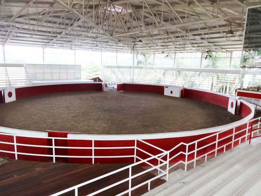 Jariperos: Reglas del Jaripeo