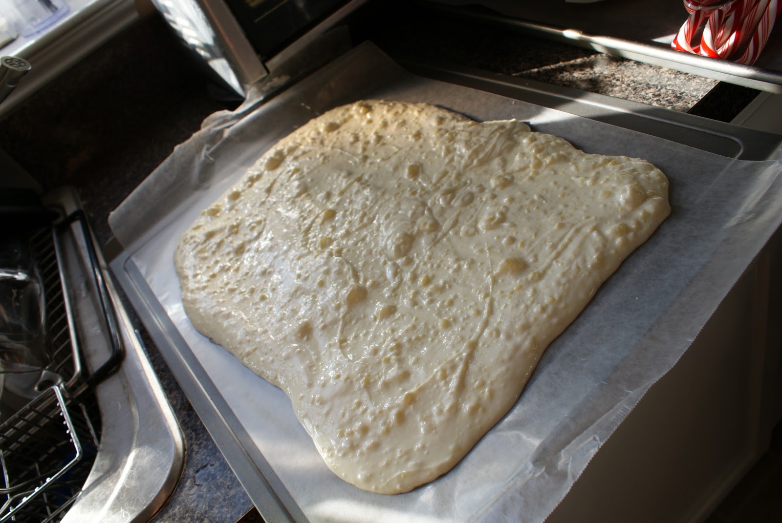 Moments with the Montano's: Lemon Bark