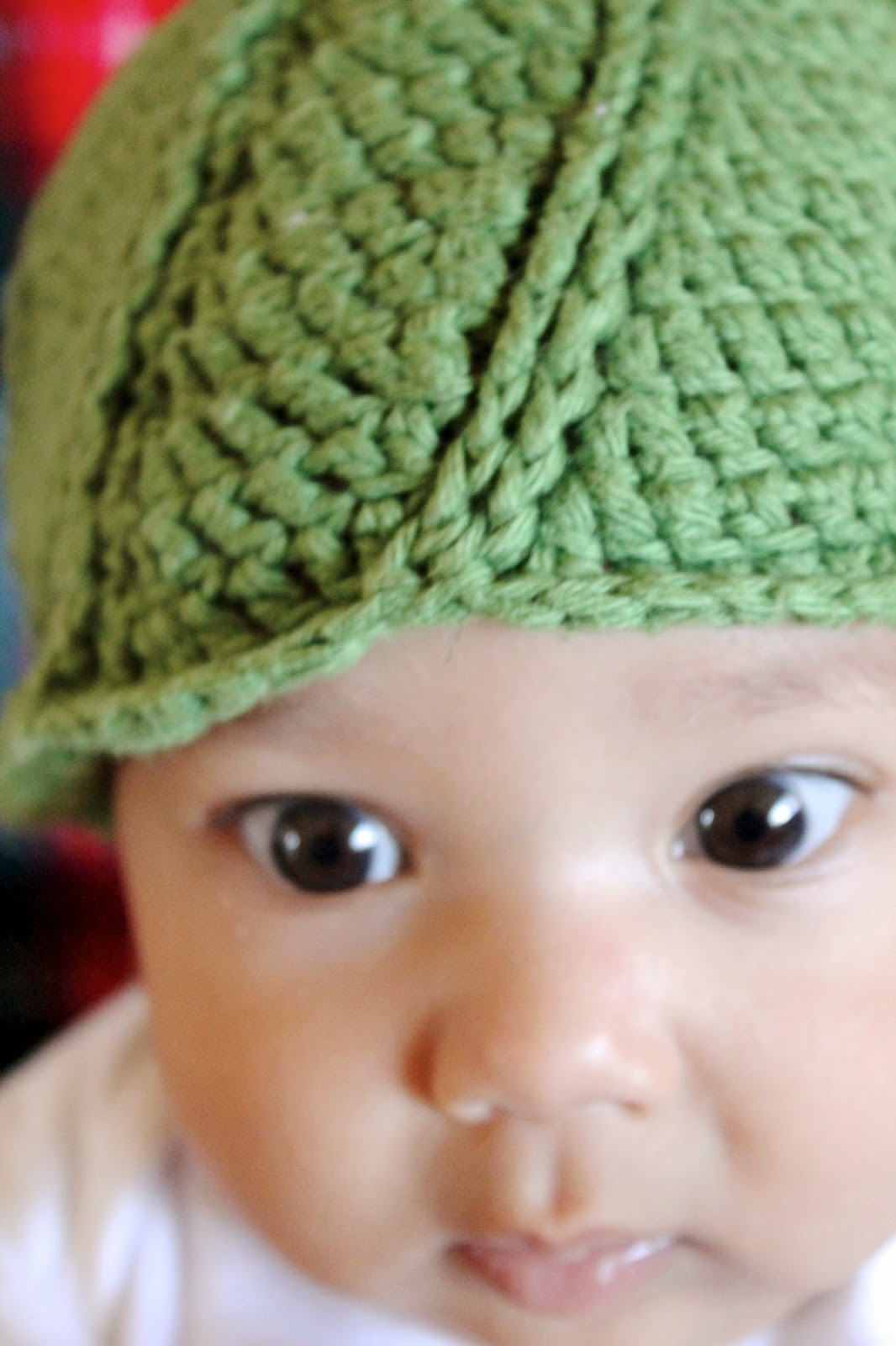 abigailology: Crochet: Sprout Hat