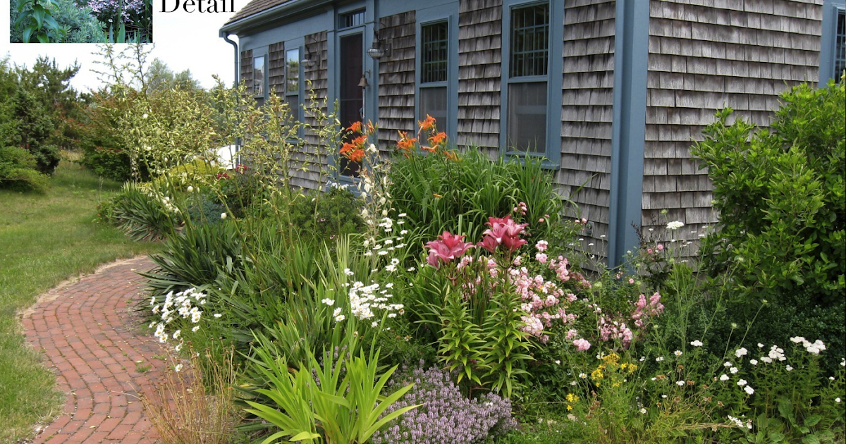 Cape Cod Historic Homes | Blog: Gardening with Native Plants to Enhance ...