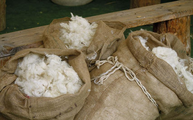 How Cashmere Is Produced - Morimiss Blog