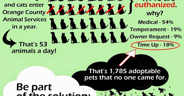 Life With Beagle: Keep Orlando dogs at home: Ideas to keep pets out of ...