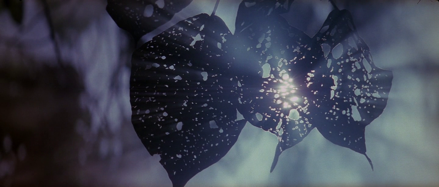 Cineclub | La delgada línea roja (1998)