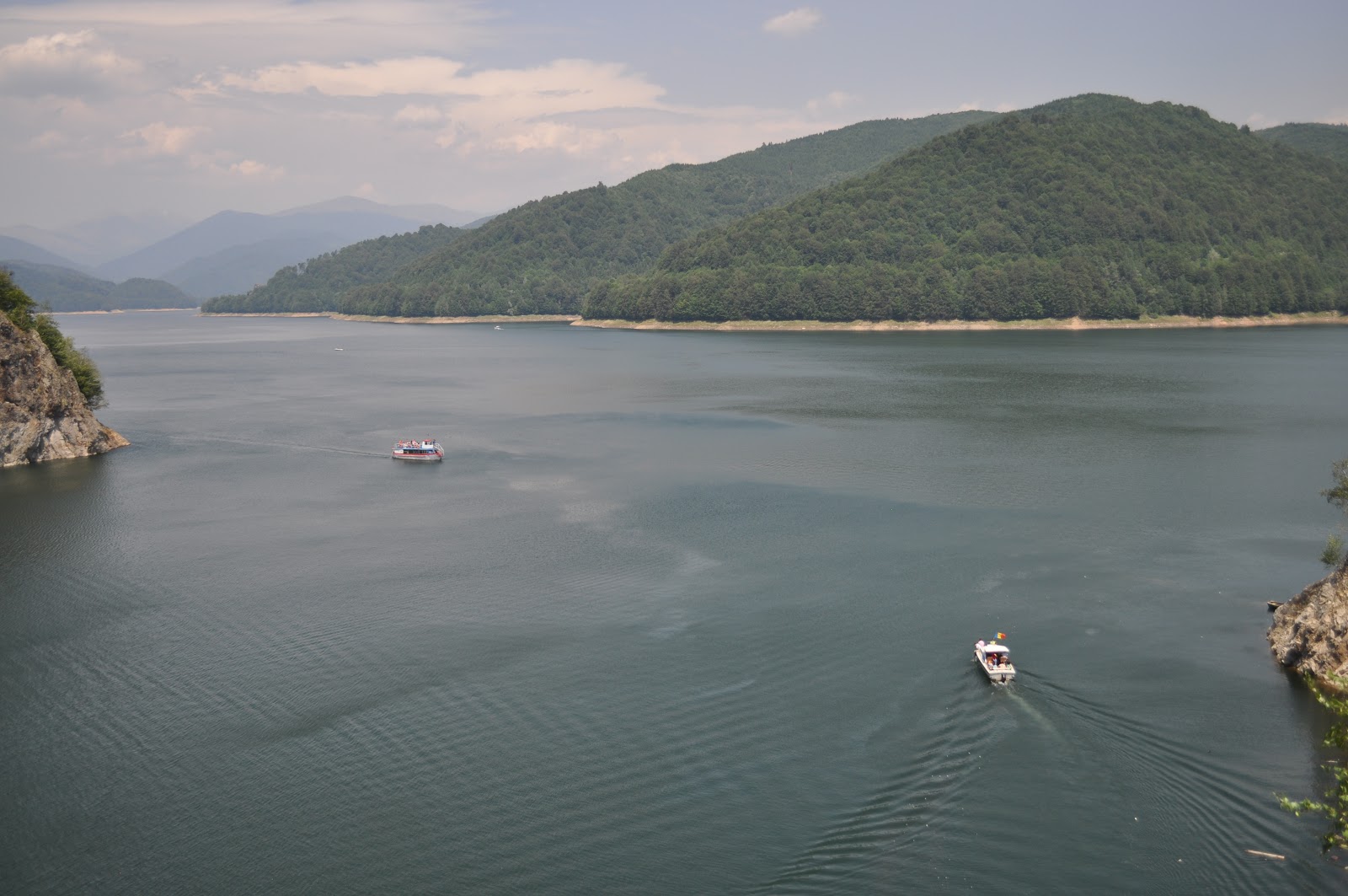Poze, Natura, Animale, Plante, Romania, Valcea, Ionut Ungureanu