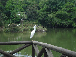FOTOS DE CALI Y EL VALLE DEL CAUCA: TOUR AL RIO PANCE