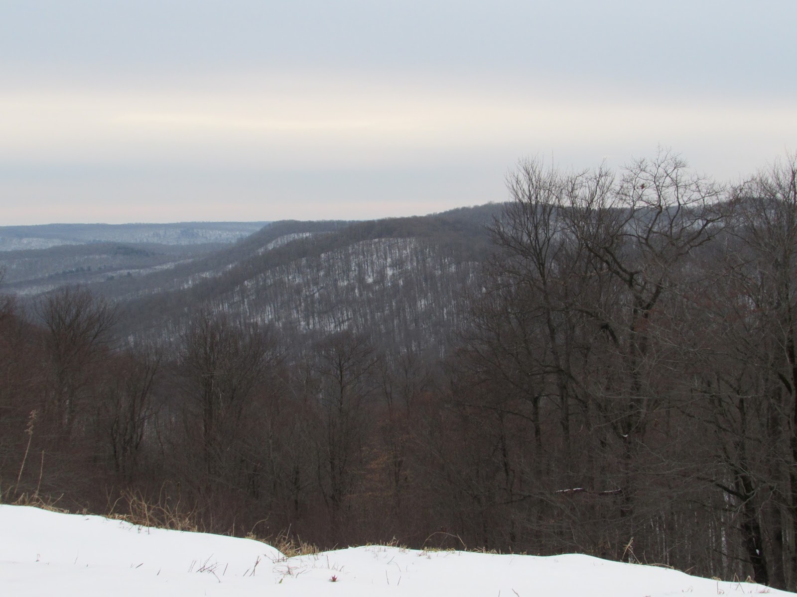 Potter County: Winter Adventures in Beautiful North-Central PA ...