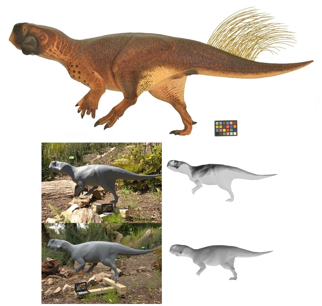 Species New to Science: [Paleontology • 2016] 3D Camouflage in an ...