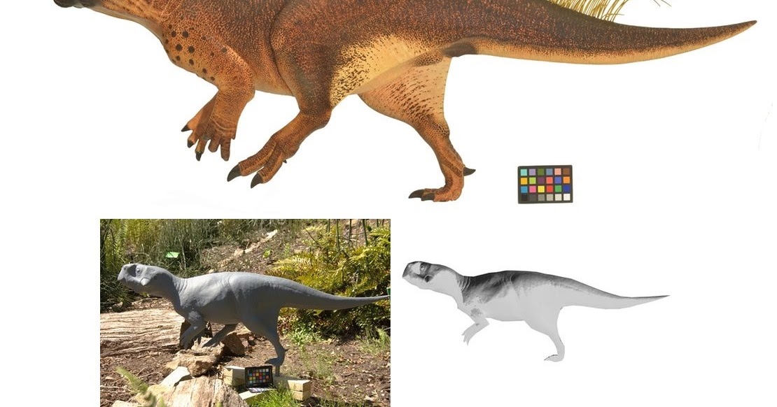Species New to Science: [Paleontology • 2016] 3D Camouflage in an ...