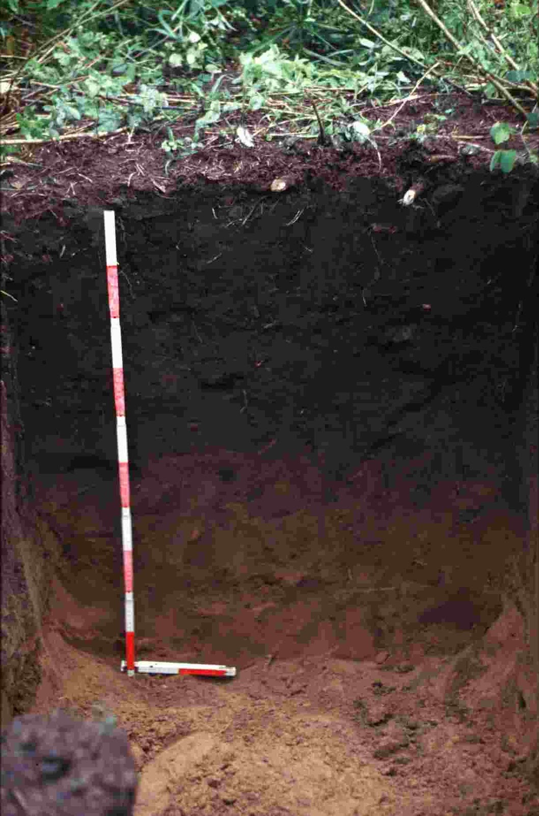 indonesia: Jenis Tanah Dan Pemanfaatannya.