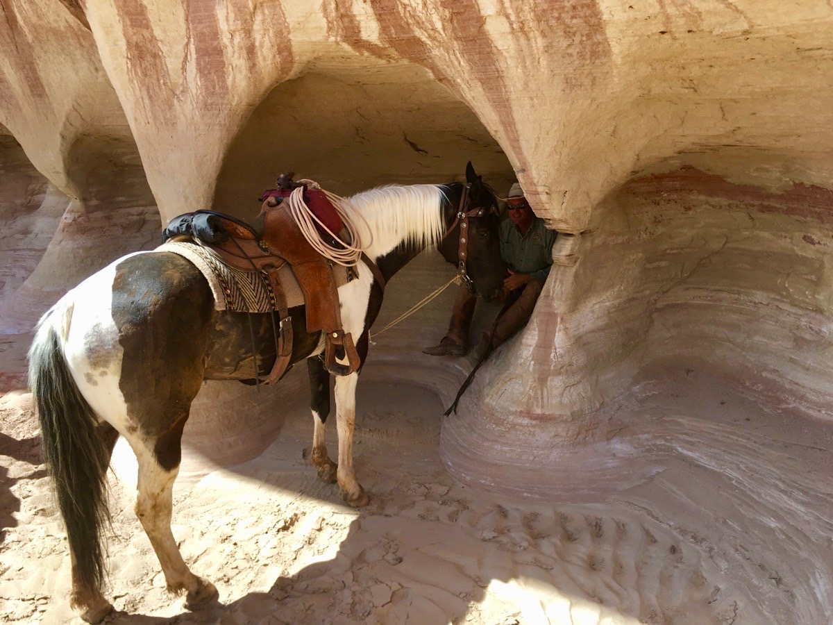 Camping and Horses : PARIA RIVER RANCH SOUTHERN UTAH