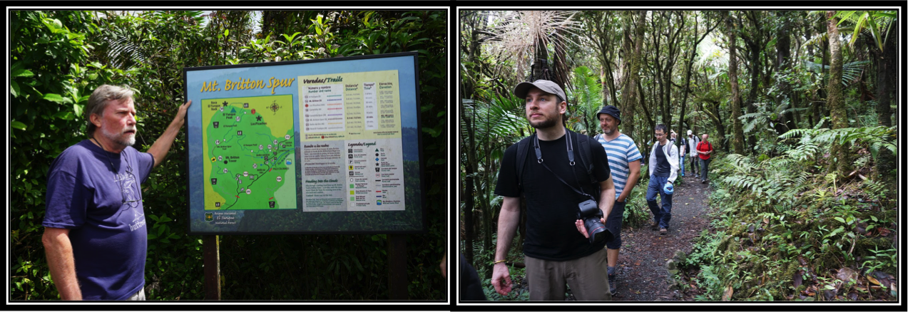 7th Annual ForestGEO Analytical Workshop in Puerto Rico | ForestGEO