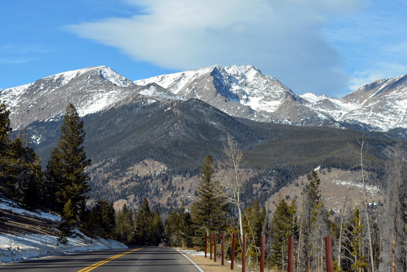 Mille Fiori Favoriti: Springtime In Colorado