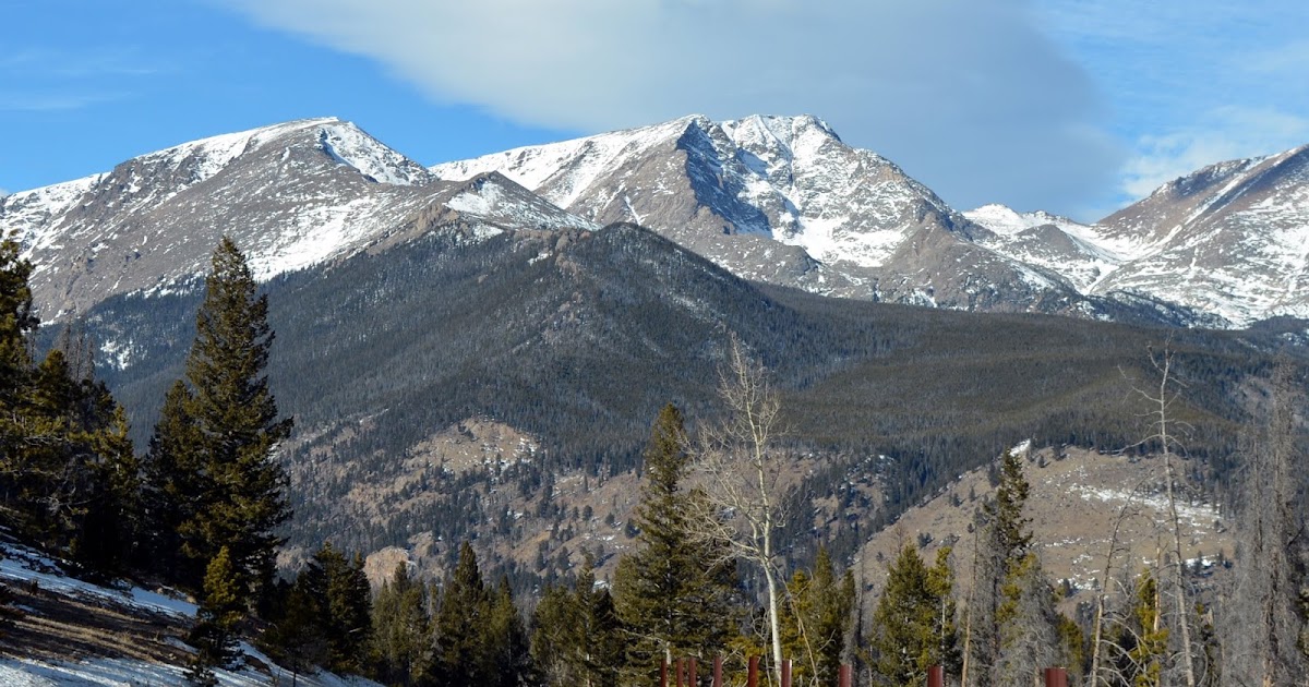 Mille Fiori Favoriti: Springtime In Colorado