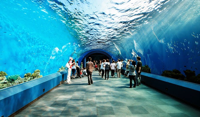 Công viên thế giới đại dương Siam Ocean World, Bangkok | Cẩm Nang Du ...