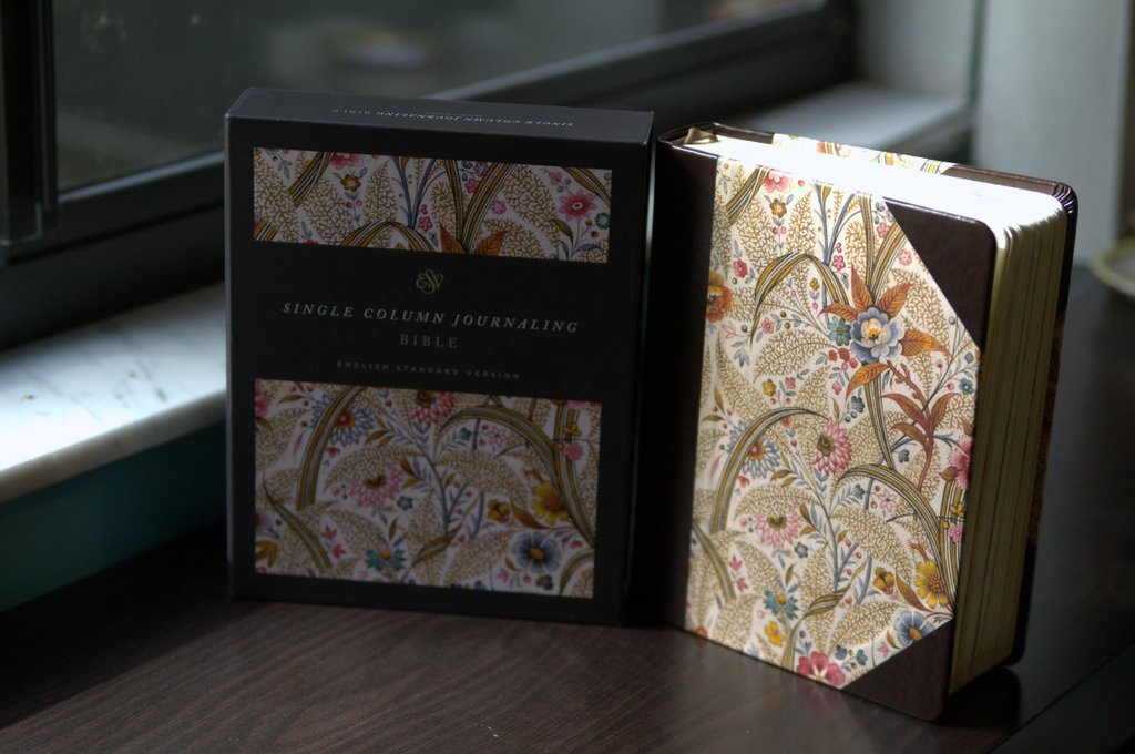 Ideas for bullet journal collections bible - inrikofirst