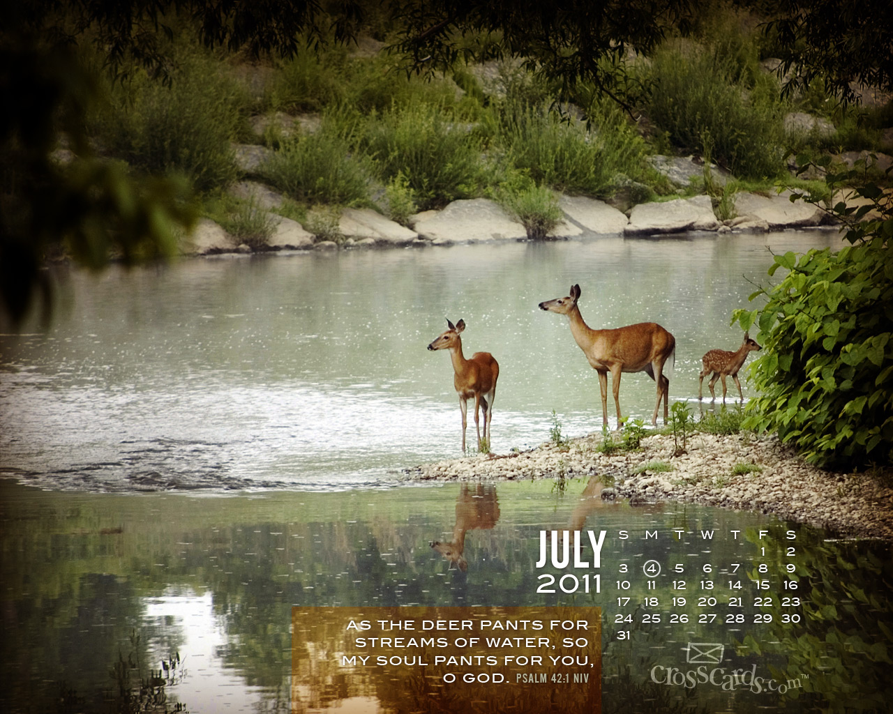 ¿CUAL ES LA DIFERENCIA ENTRE UN FANATICO RELIGIOSO I UN FANATICO DE ...