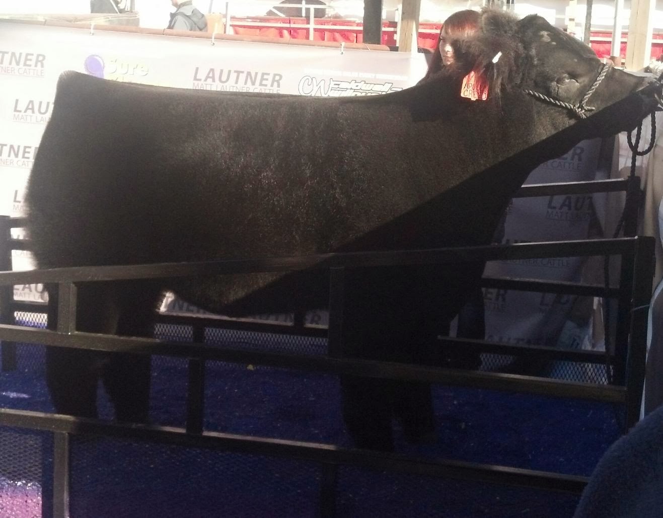 MITTAG Blog: Video at Iowa Beef Expo