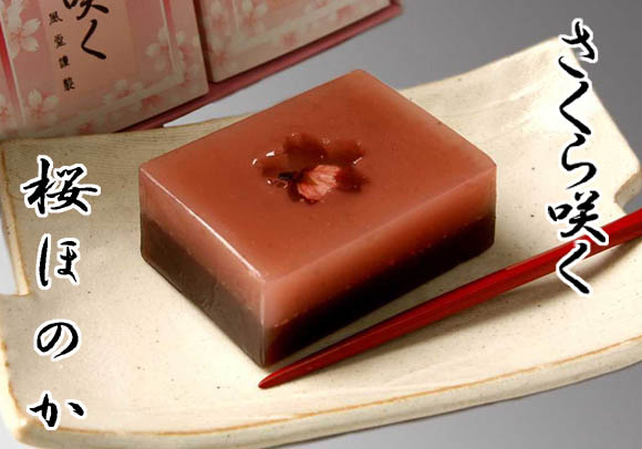 Kayo's Japanese Omiyage: Yokan