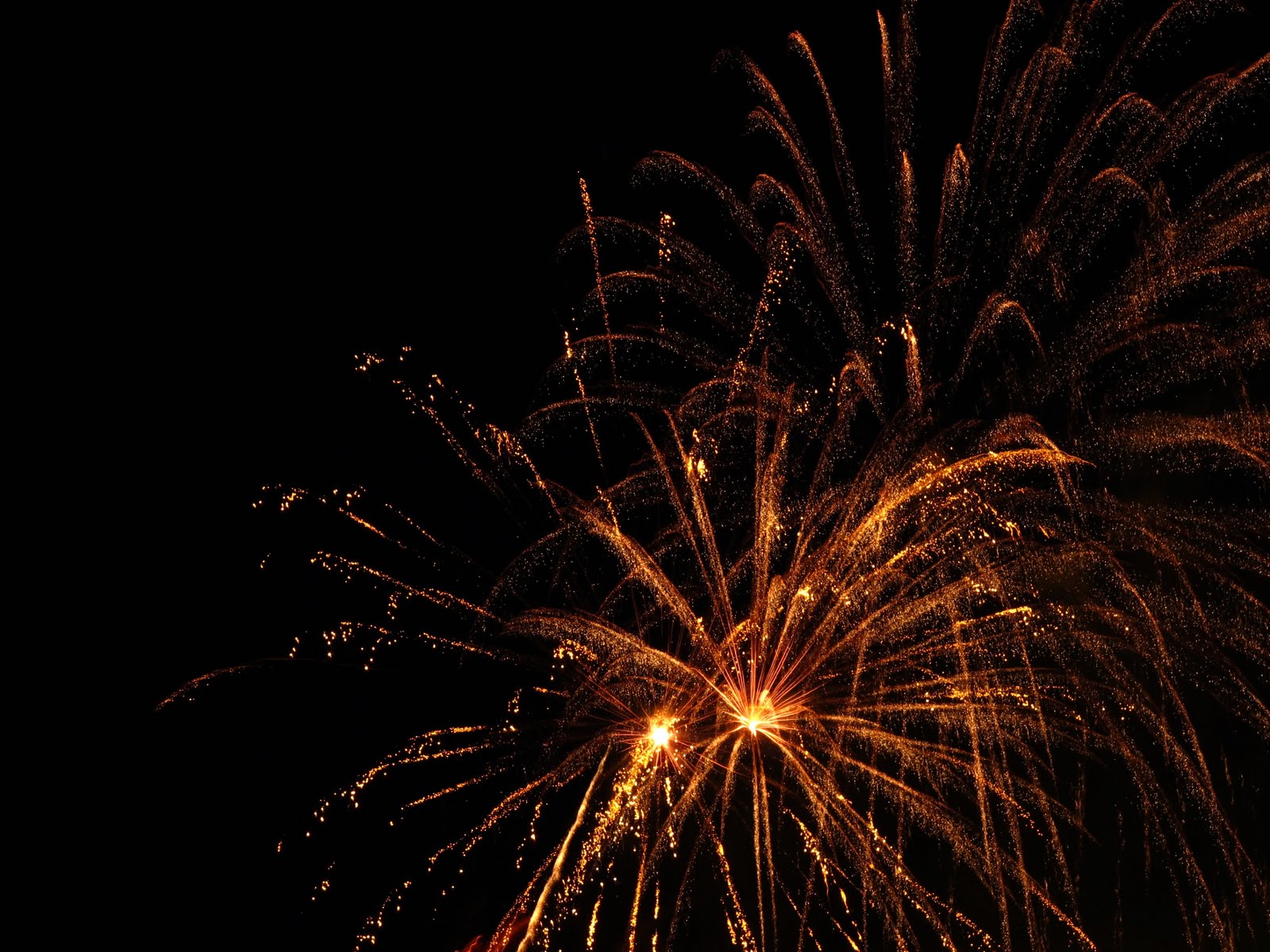 four-eyes rella: 2011-06-26