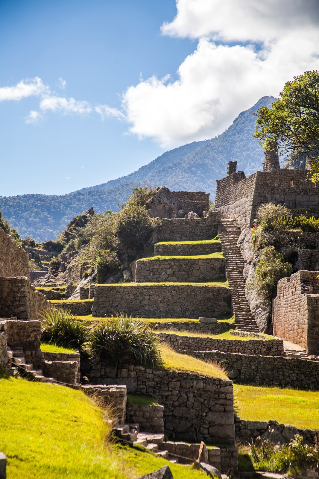 My Musings: Machu Picchu : At Sunset