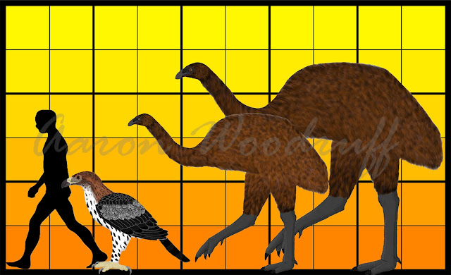 Webster's Science and Nature: Birds of Prey: Haast's Eagle