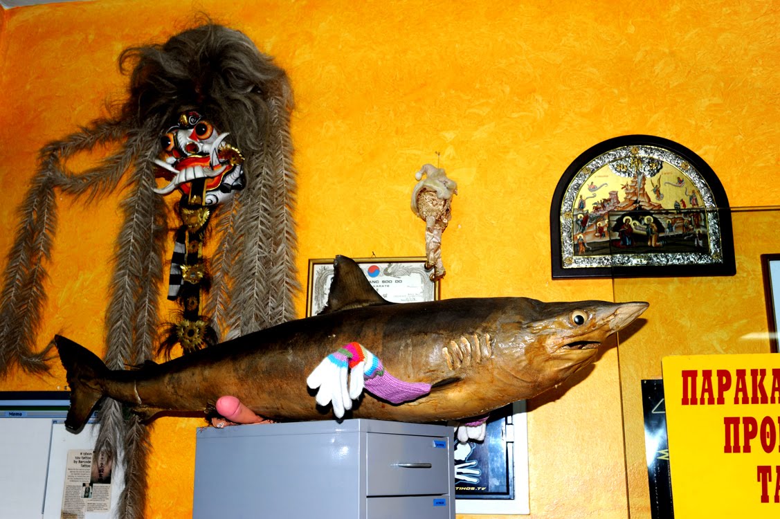 FREDDIE F.: BRUISES AND CUTS. LEKTIKOS EPEXERGASTIS