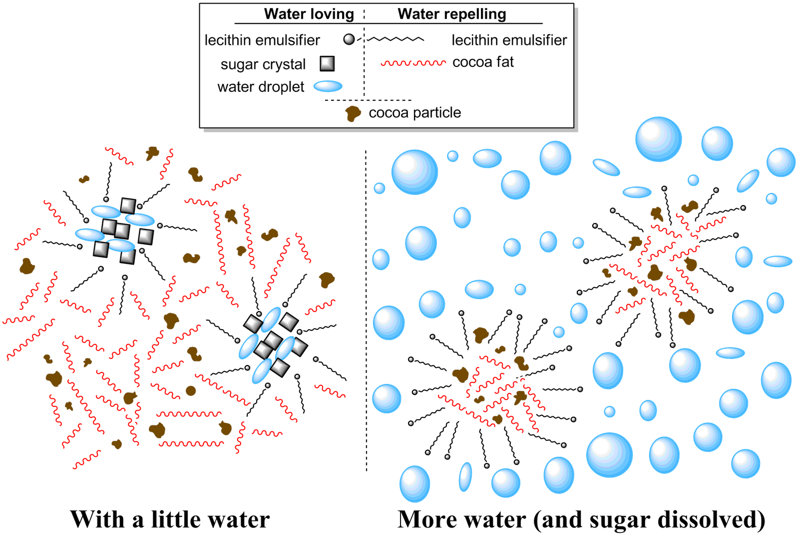 FOODUCATION.ORG: Chocolate part 1:3 - why it seizes with just a little ...