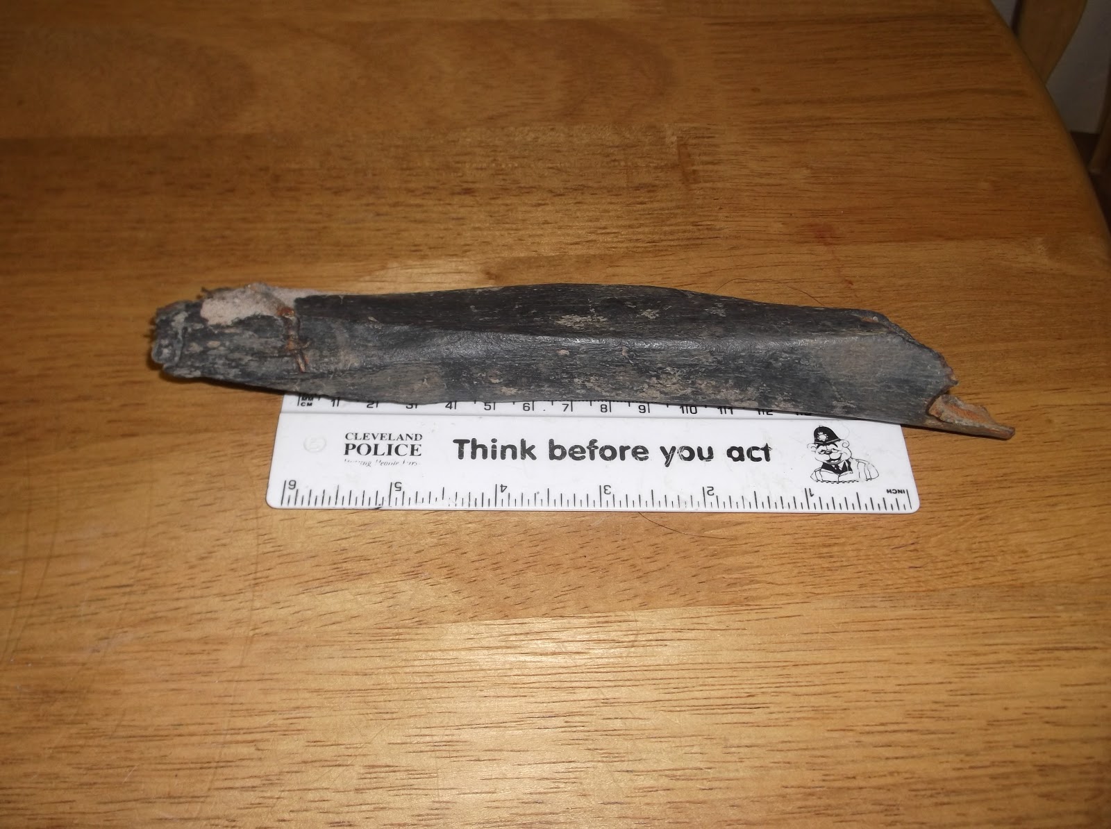 HISTORY OF A BECK: Prehistoric Human tibia shaft excavated from grey ...