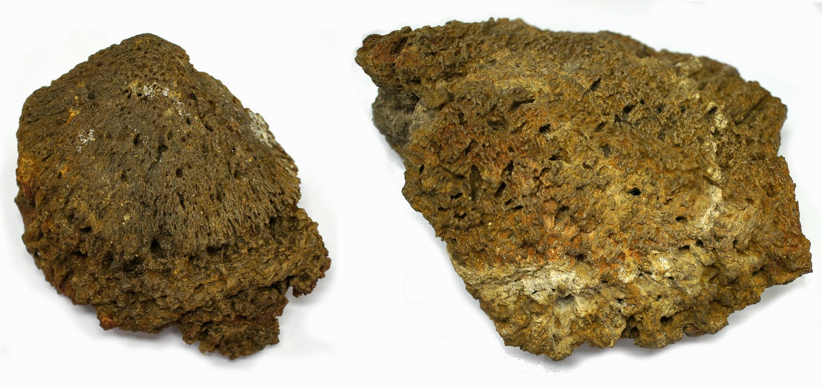 Dinosaur Renaissance: Osteodermos de titanosaurios de Lo Hueco: La historia