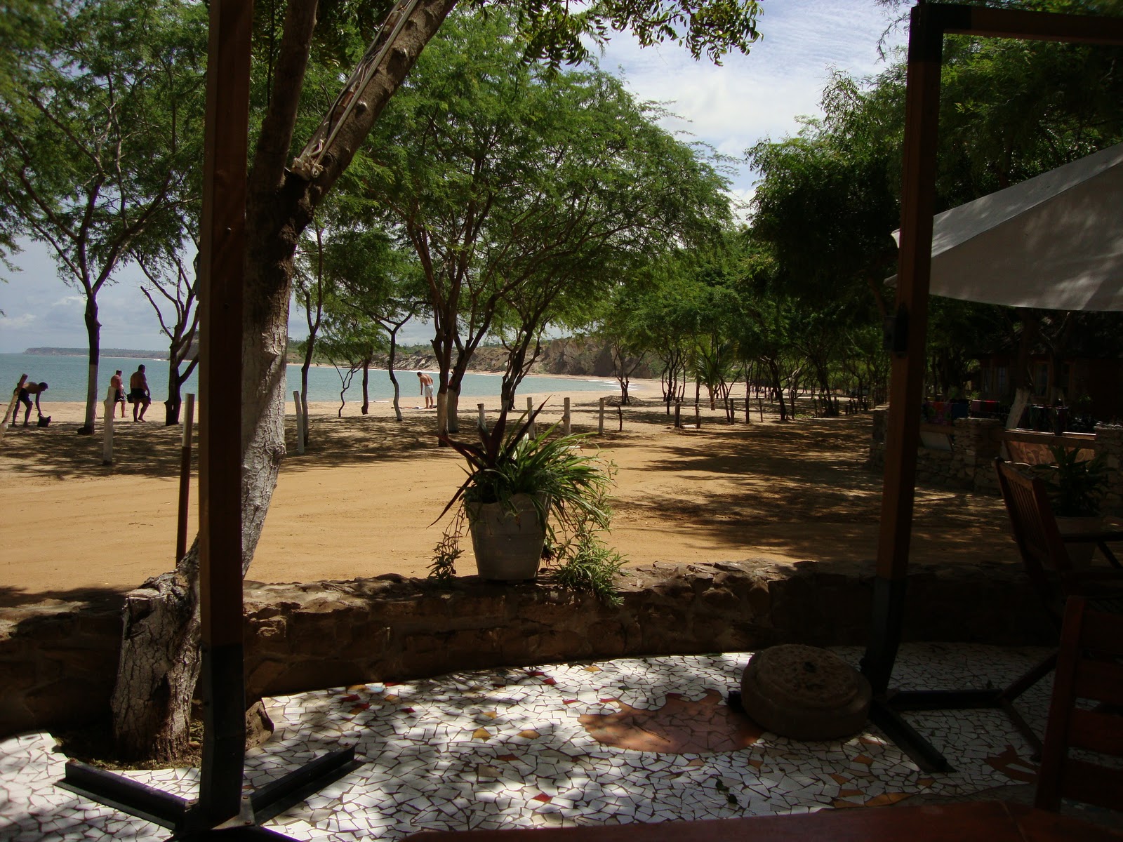 Esta vida... uma aventura...: ... Sangano...