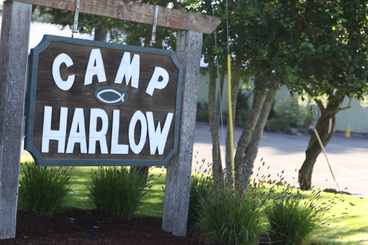 The Cozy Corner: Fifth Grade Party at Camp Harlow