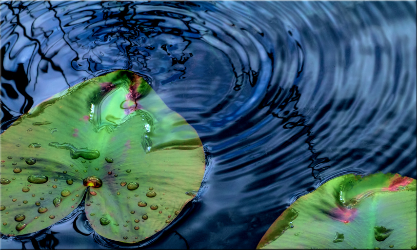 Pretty Pix: Raindrops Keep Falling