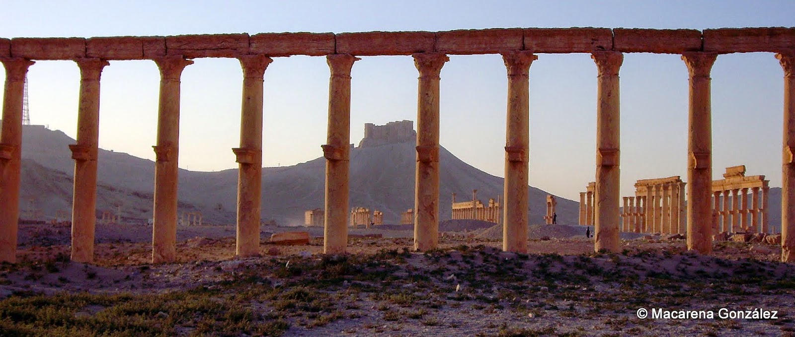 Vivir viajando: Palmira, Siria. Mítica y fabulosa entre las arenas del ...
