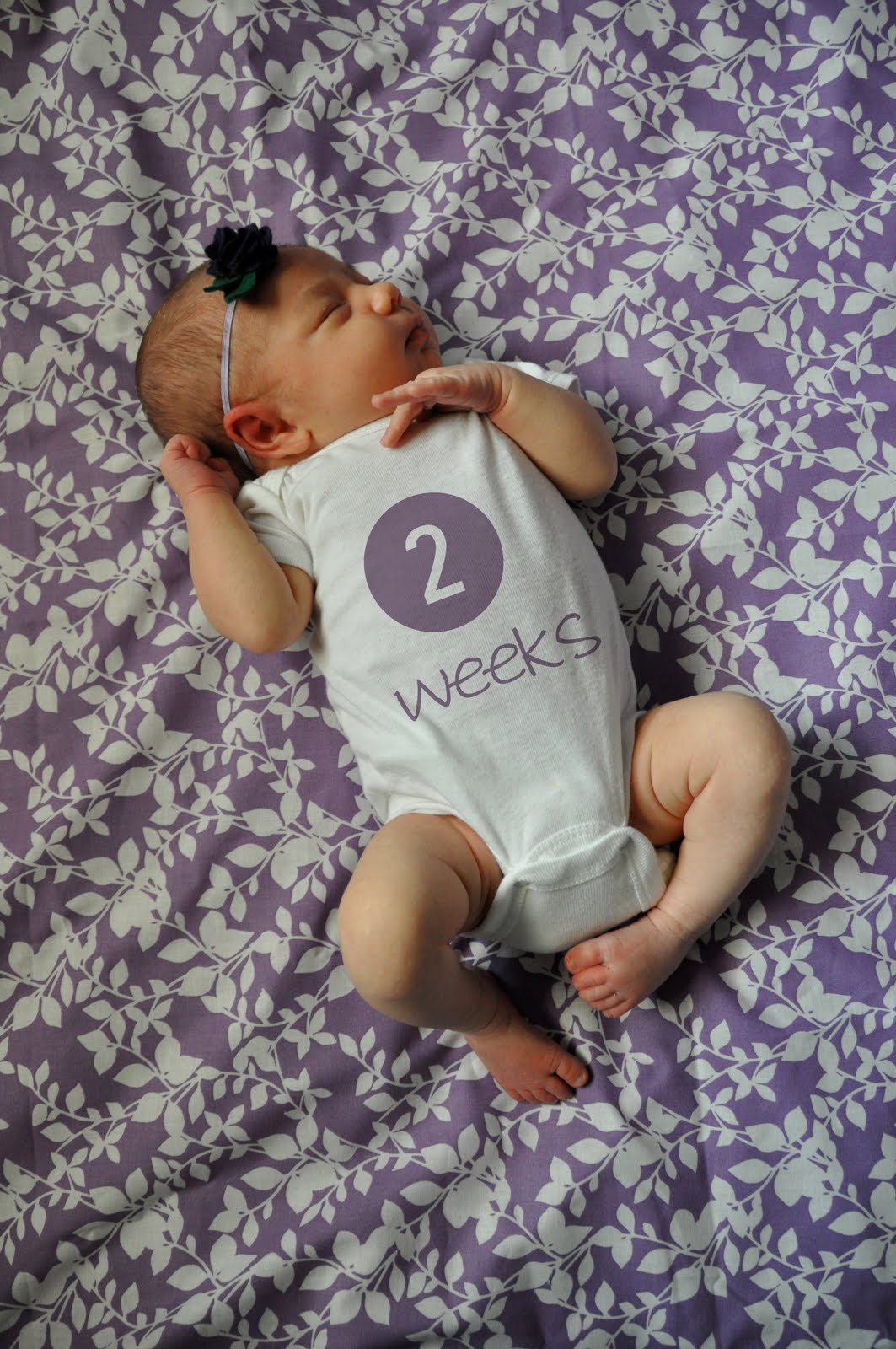 Love, Evie: 2 weeks old!