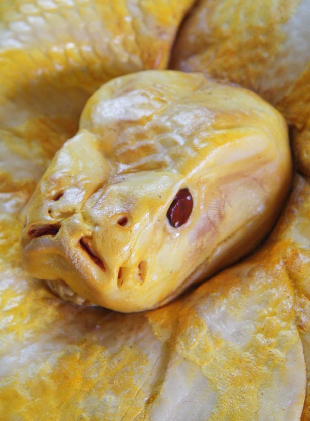 Python Cake ~ Al Mubins