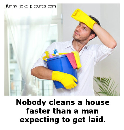 House Cleaning: House Cleaning Jokes