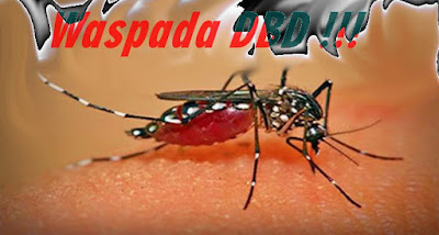 Tanda Tanda DBD Yang Harus Diketahui - Cara Mengusir Nyamuk