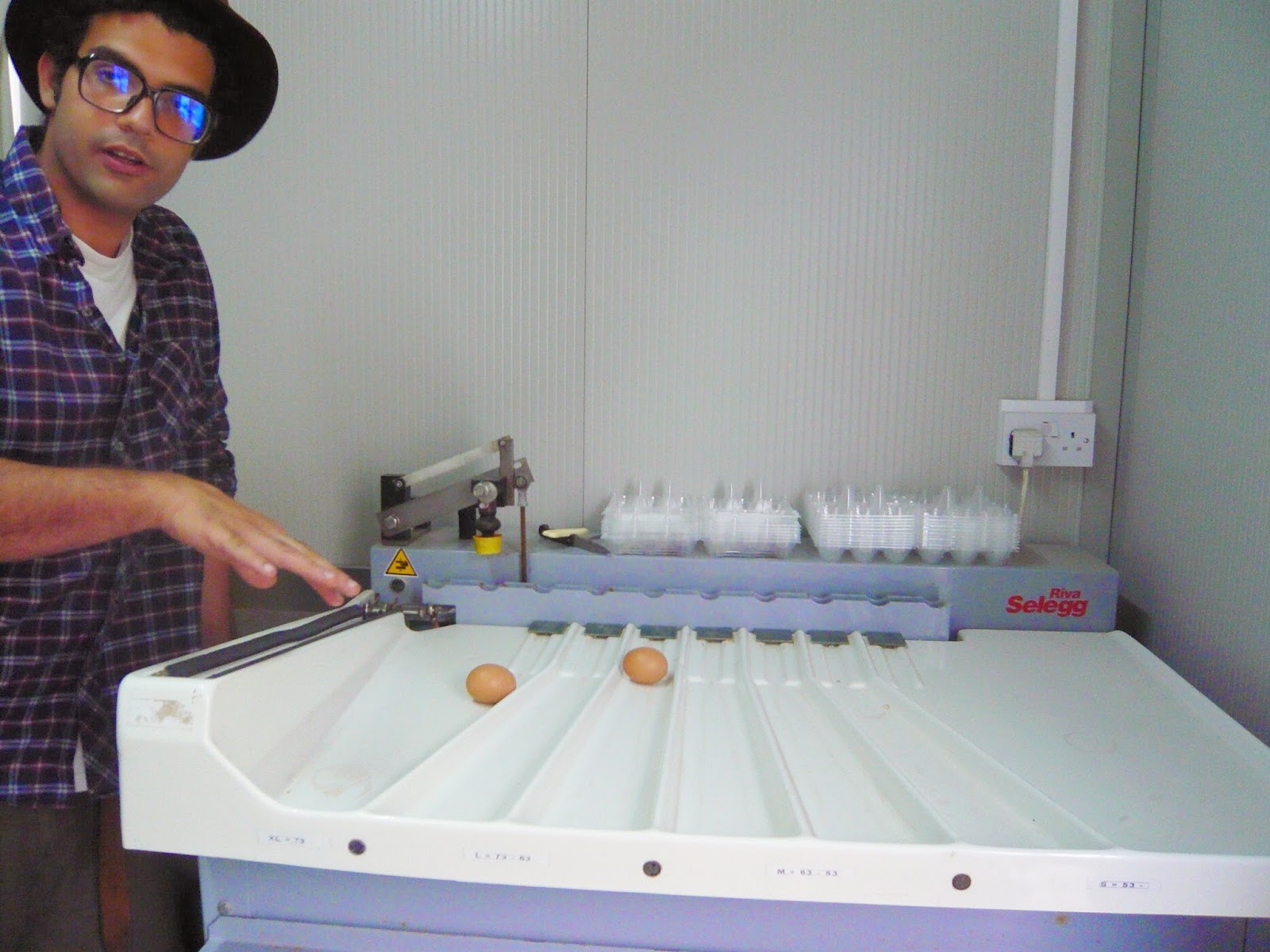 Produced in Cyprus: Riverland Diary Bio Farm – your first choice for ...