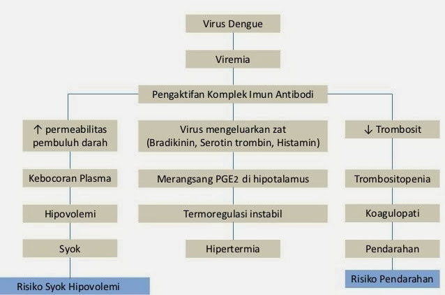 Surveilans Epidemiologi FKM UNSRI: Surveilans Epidemiologi Demam ...