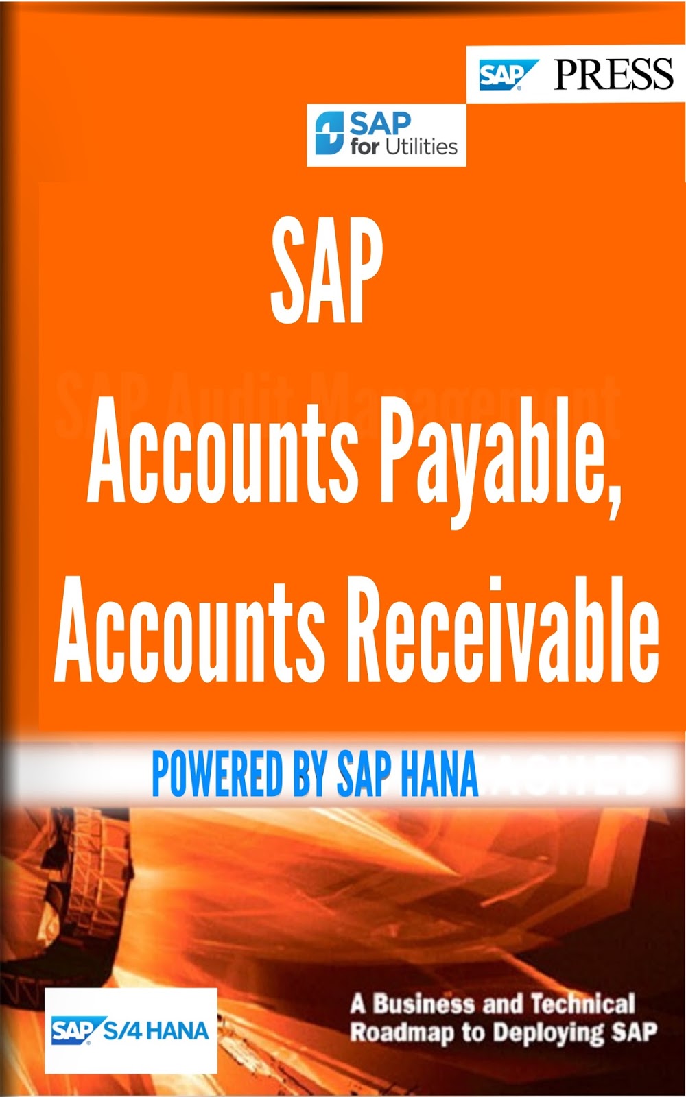 SAP S/4 HANA ACCOUNTS RECEIVABLE AND ACCOUNTS PAYABLE : IMPLEMENTATION ...