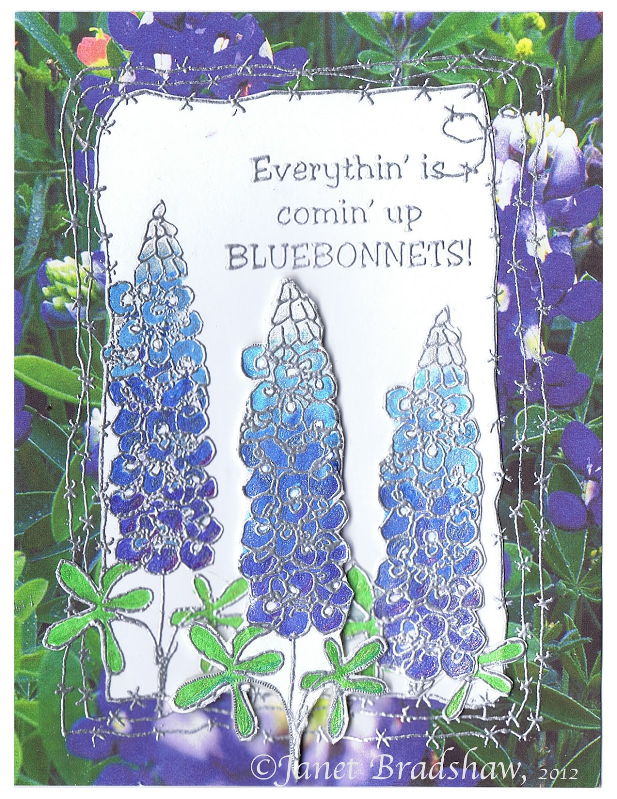 Texana Designs: Wishing for a Bluebonnet Spring!