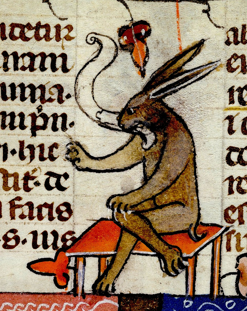 The Magic cafe: Кровожадный хищник заяц