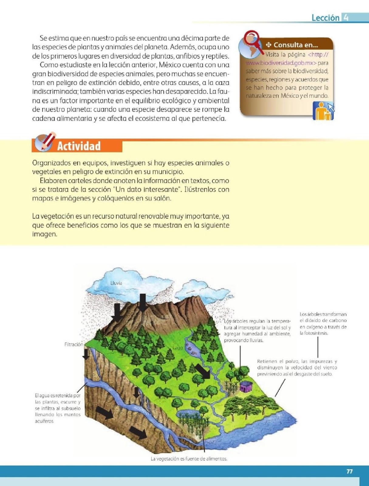 Las riquezas de nuestro país - Bloque II - Lección 4
