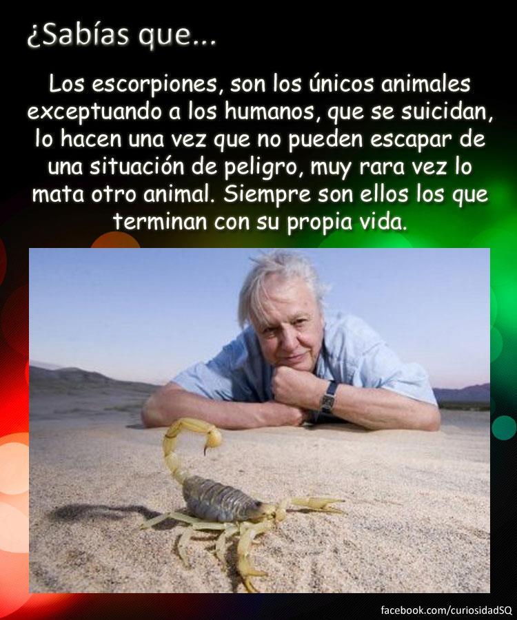 439 Curiosidades del mundo que deberías saber - Funeek ~ Aquí te ...