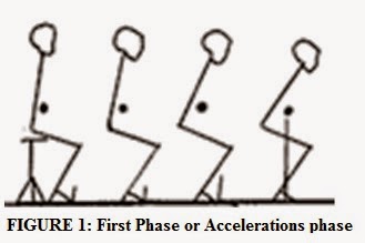 MCPROYECTOS: Biomechancal analysis of rising to standing from sitting